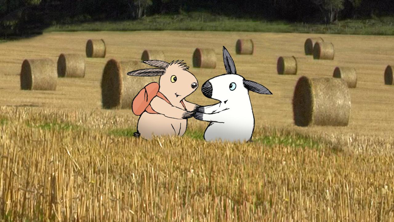 Ville og Vilde Kanin | Det Danske Filminstitut