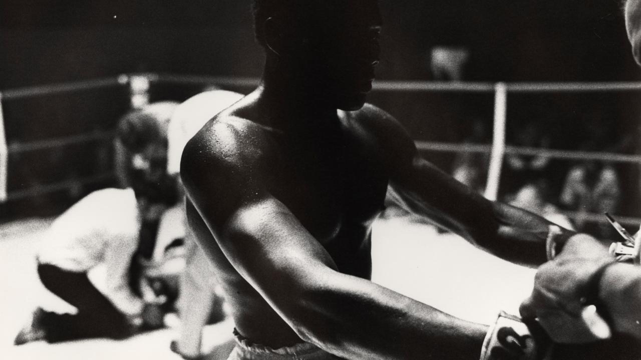 Kalule | Det Danske Filminstitut