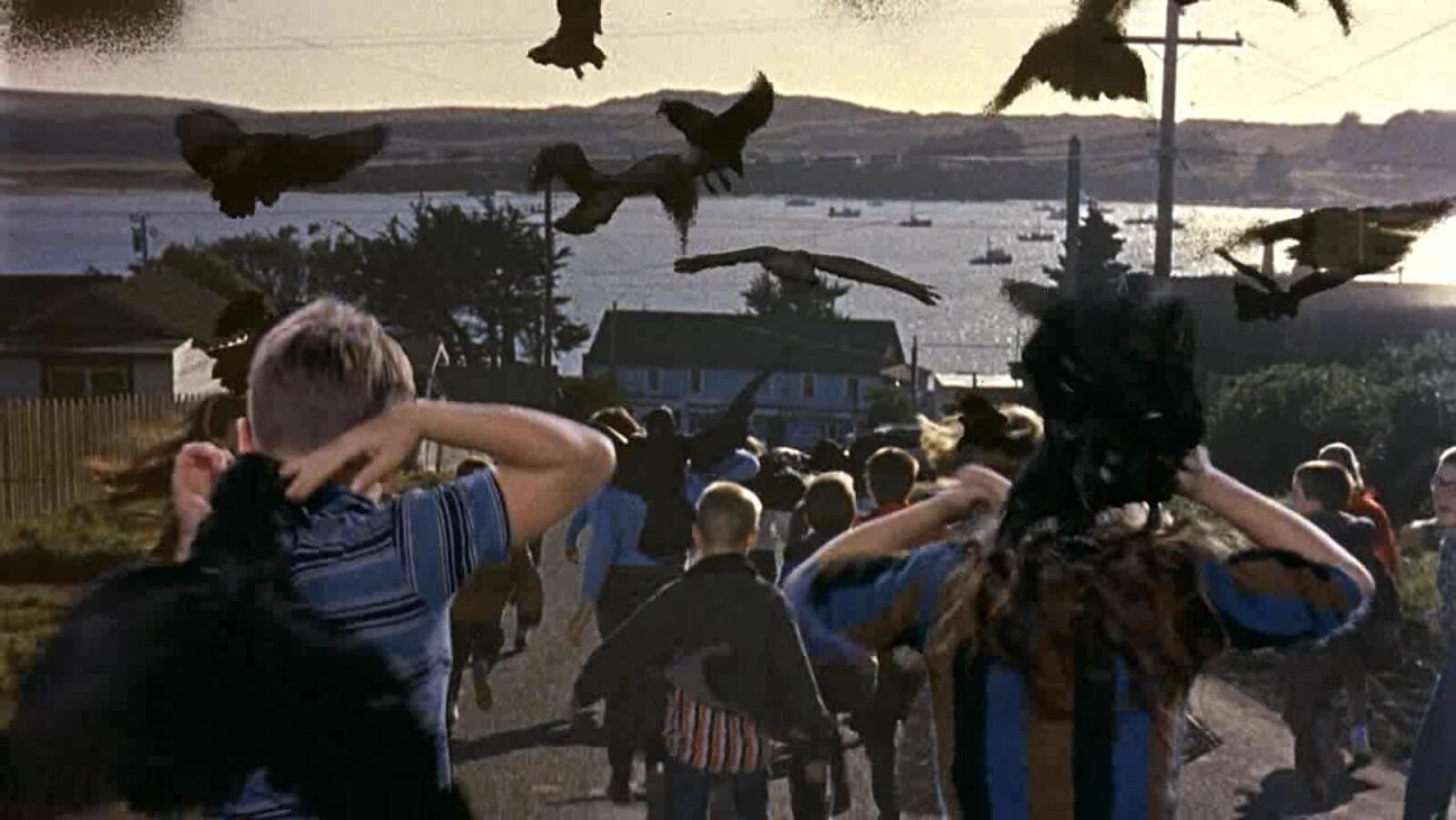 Open Air Film 30. juli: ’Fuglene’ | Det Danske Filminstitut